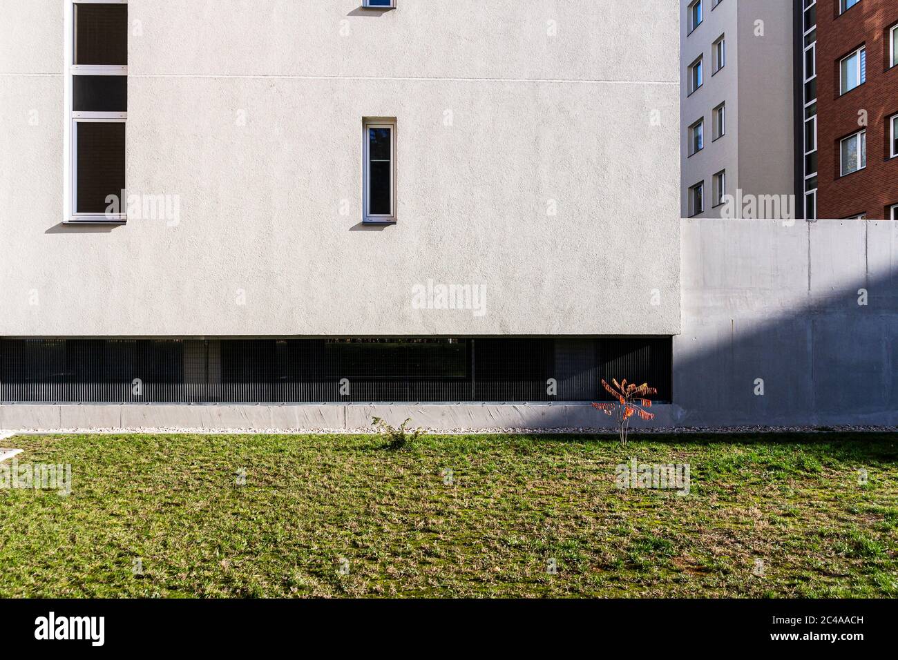 Modern wall with some windows and a grass. Architectural detail ...
