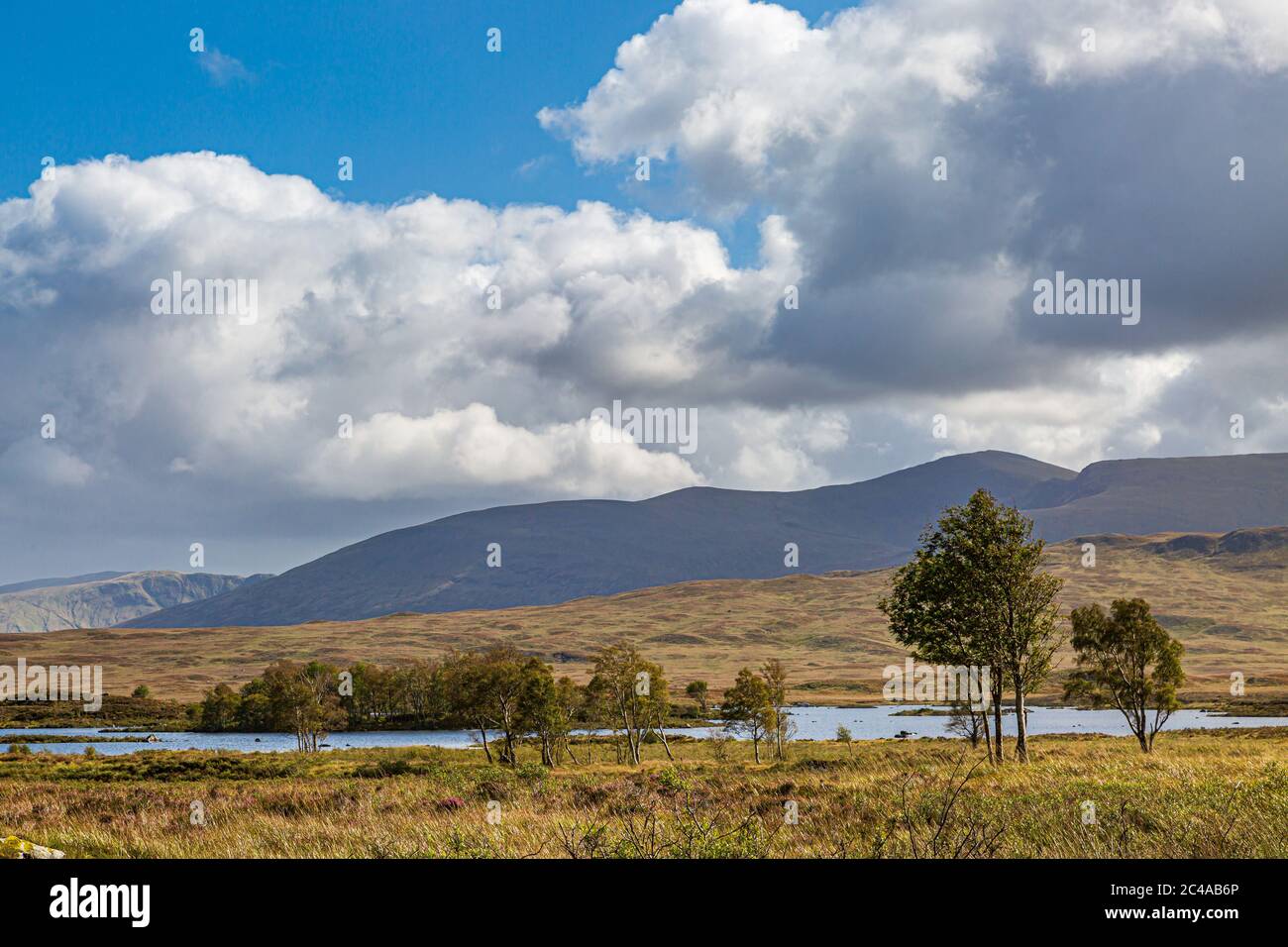Trees in front of Loch Ba in the Scottish Highlands Stock Photo - Alamy