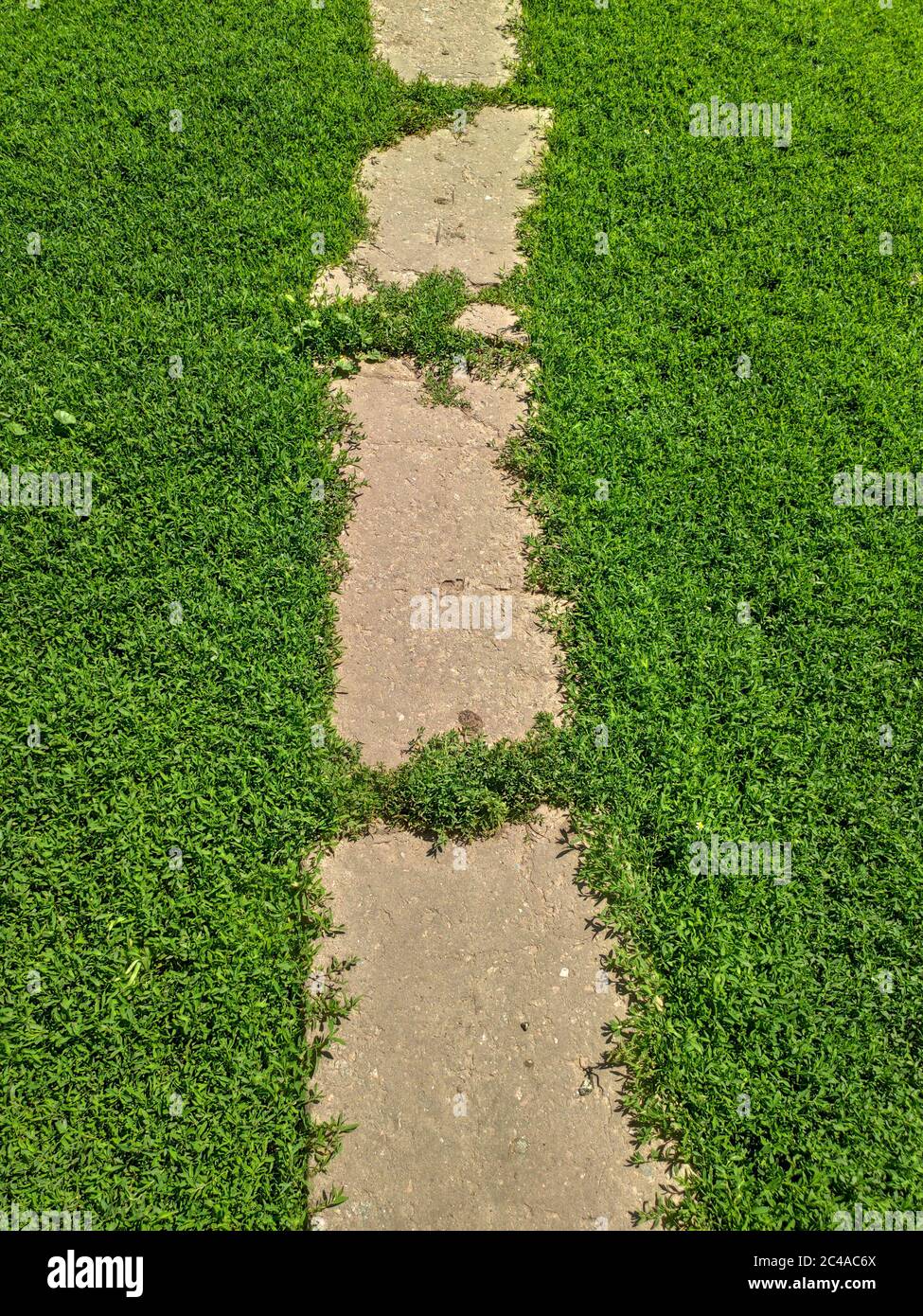 Proper mowing hi-res stock photography and images - Alamy