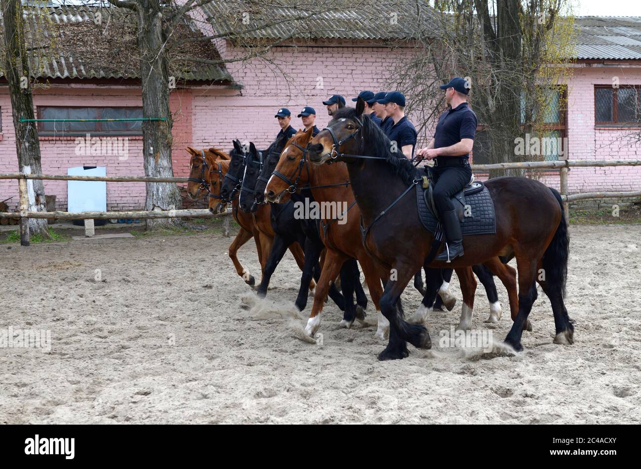 Mounted police squad riding horses at the manege Stock Photo - Alamy