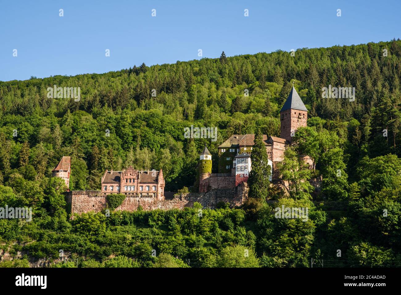 Zwingenberg Castle, Zwingenberg, Neckar Valley, Baden-Wuerttemberg ...