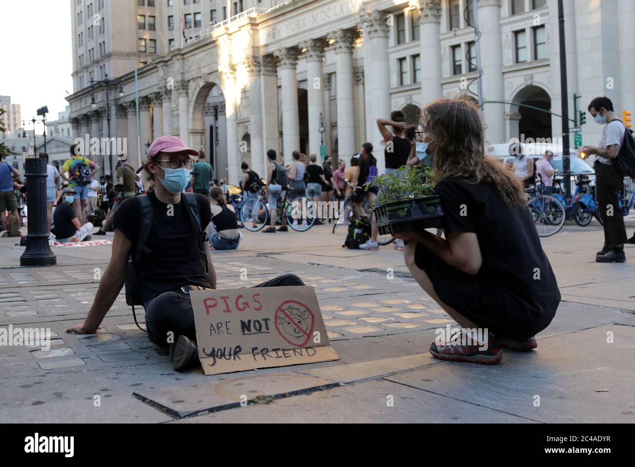Large Crowds Occupy City Hall, New York, USA Stock Photo - Alamy