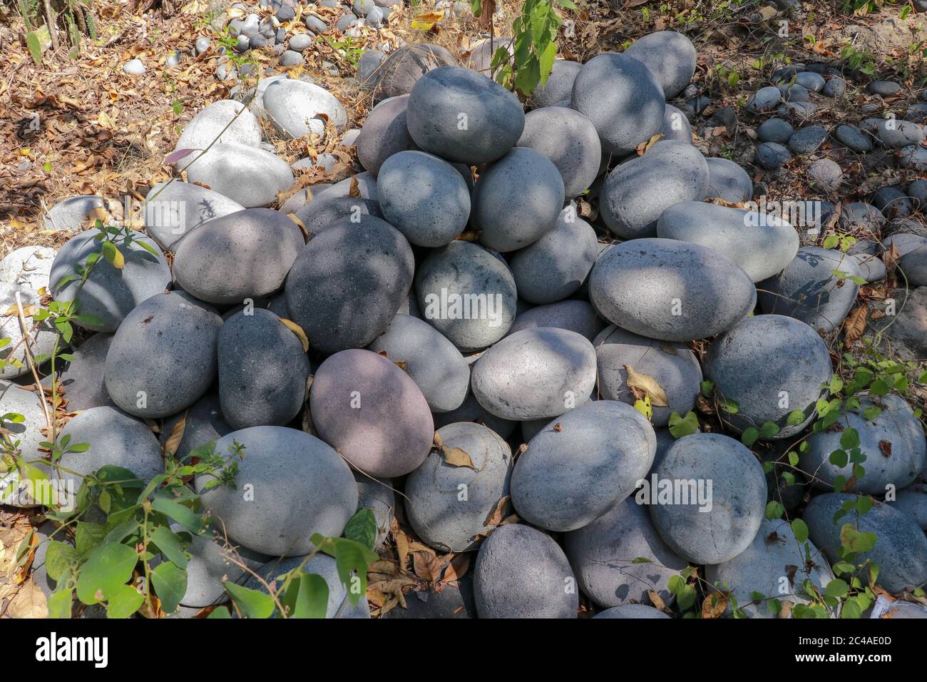 Selection of large stones. Pattern of round pebble stone. Background of ...