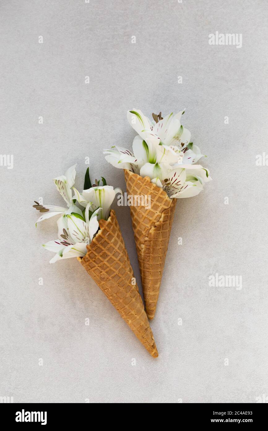 Topview image of two ice-cream scones with white flowers in it, over ...