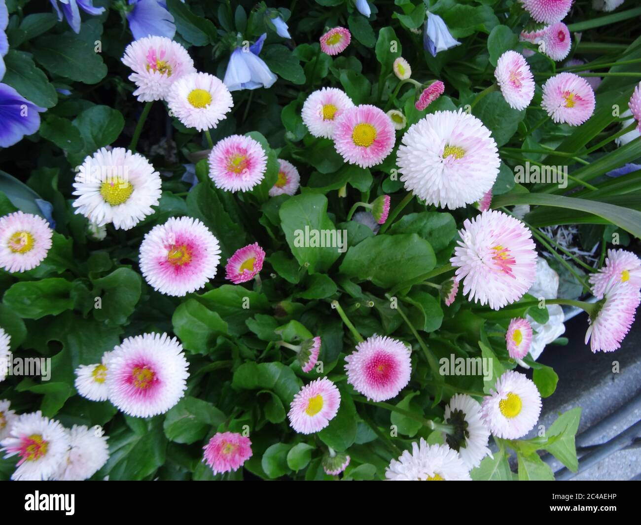 The beautiful German city of Munich. Wonderful buildings, main square ...