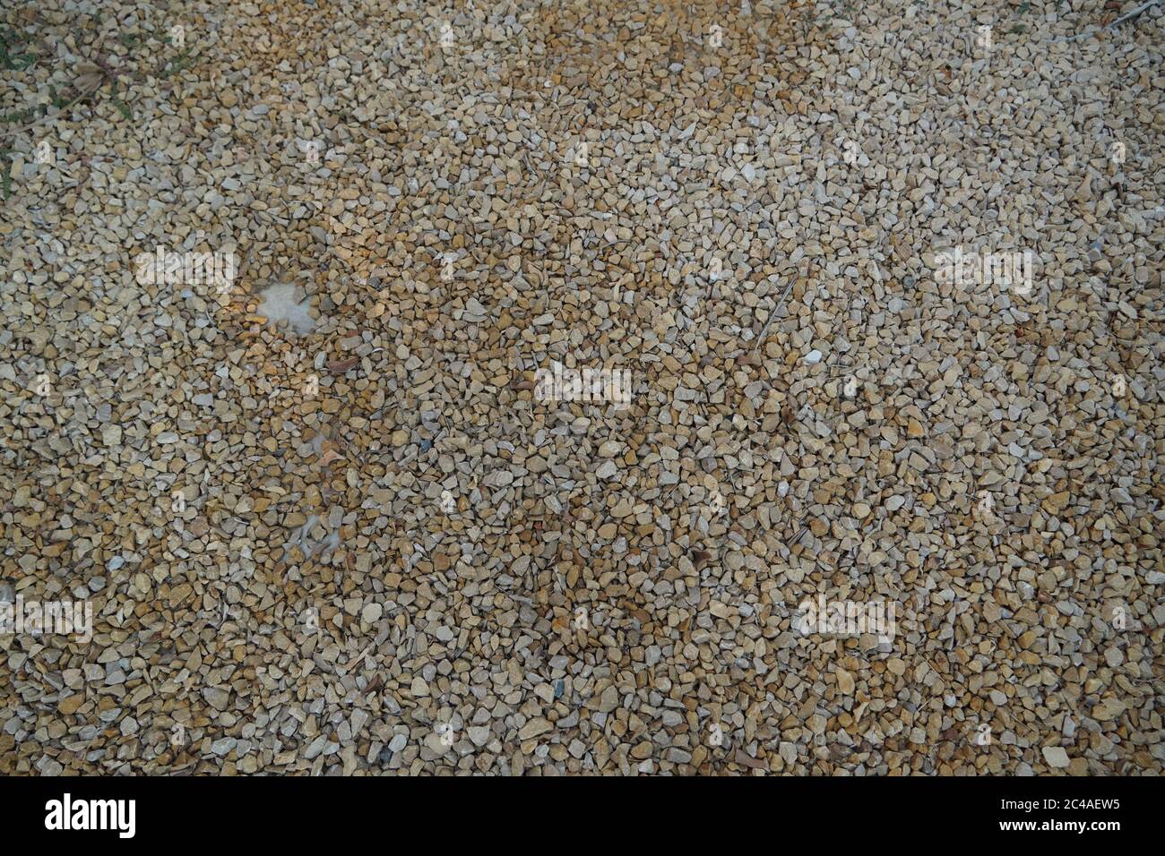 Brown and White pebble stone texture for background. The texture of ...
