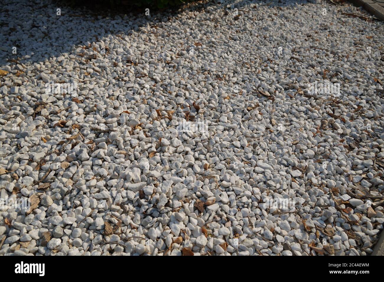 Brown and White pebble stone texture for background. The texture of ...