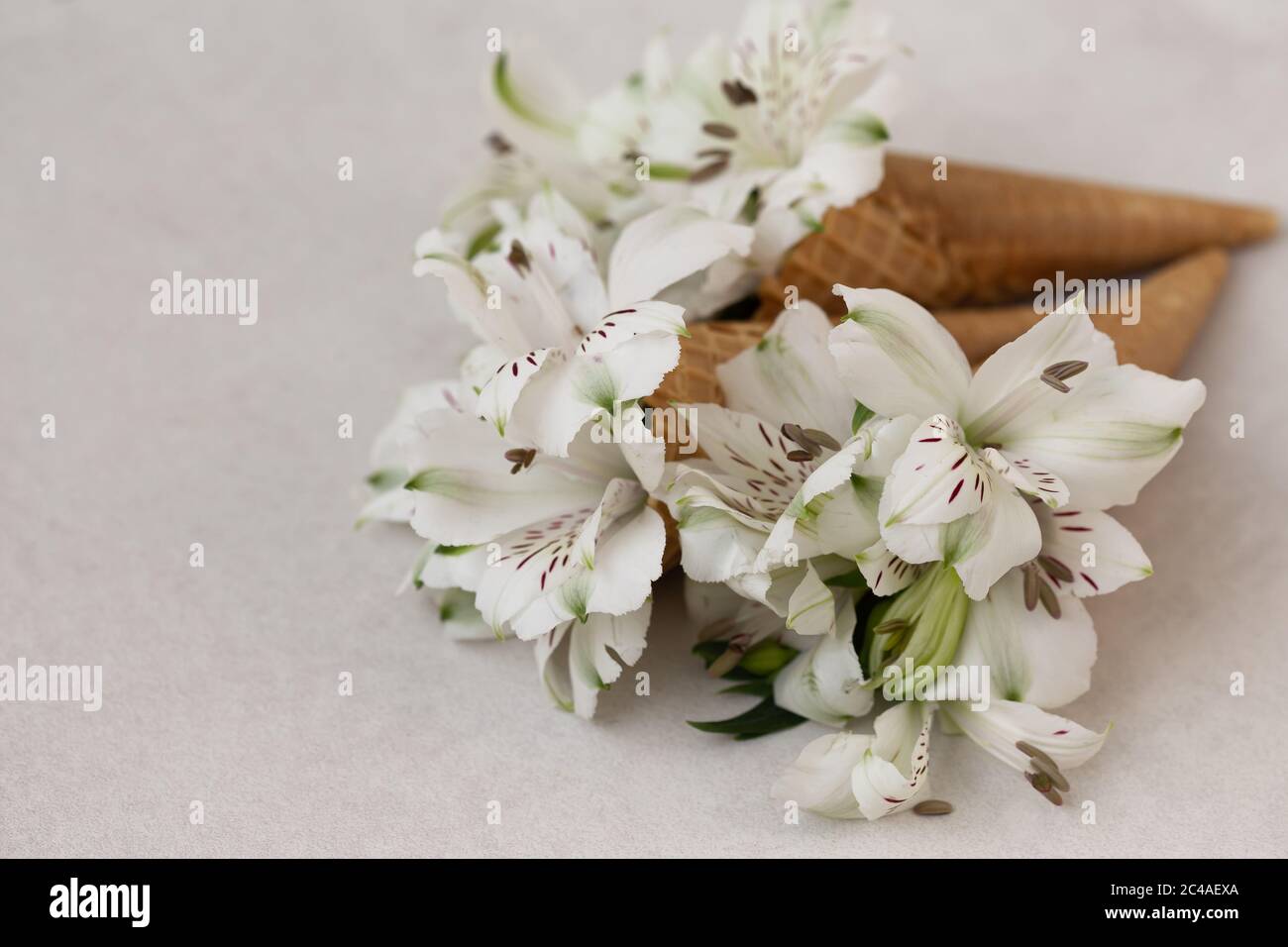 White flowers in the ice-cream scones over light gray tabletop ...