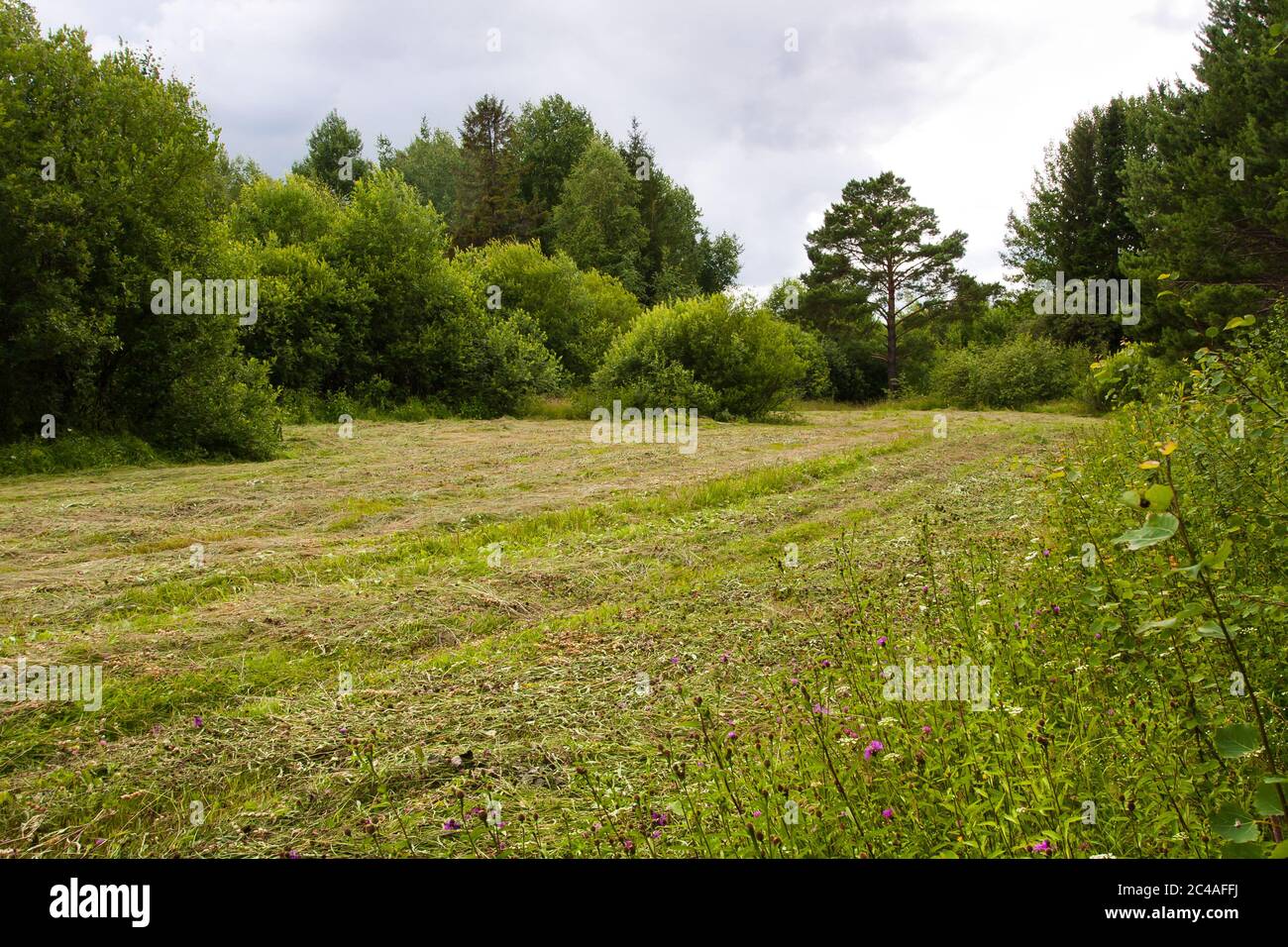 Sloping grass hi-res stock photography and images - Alamy