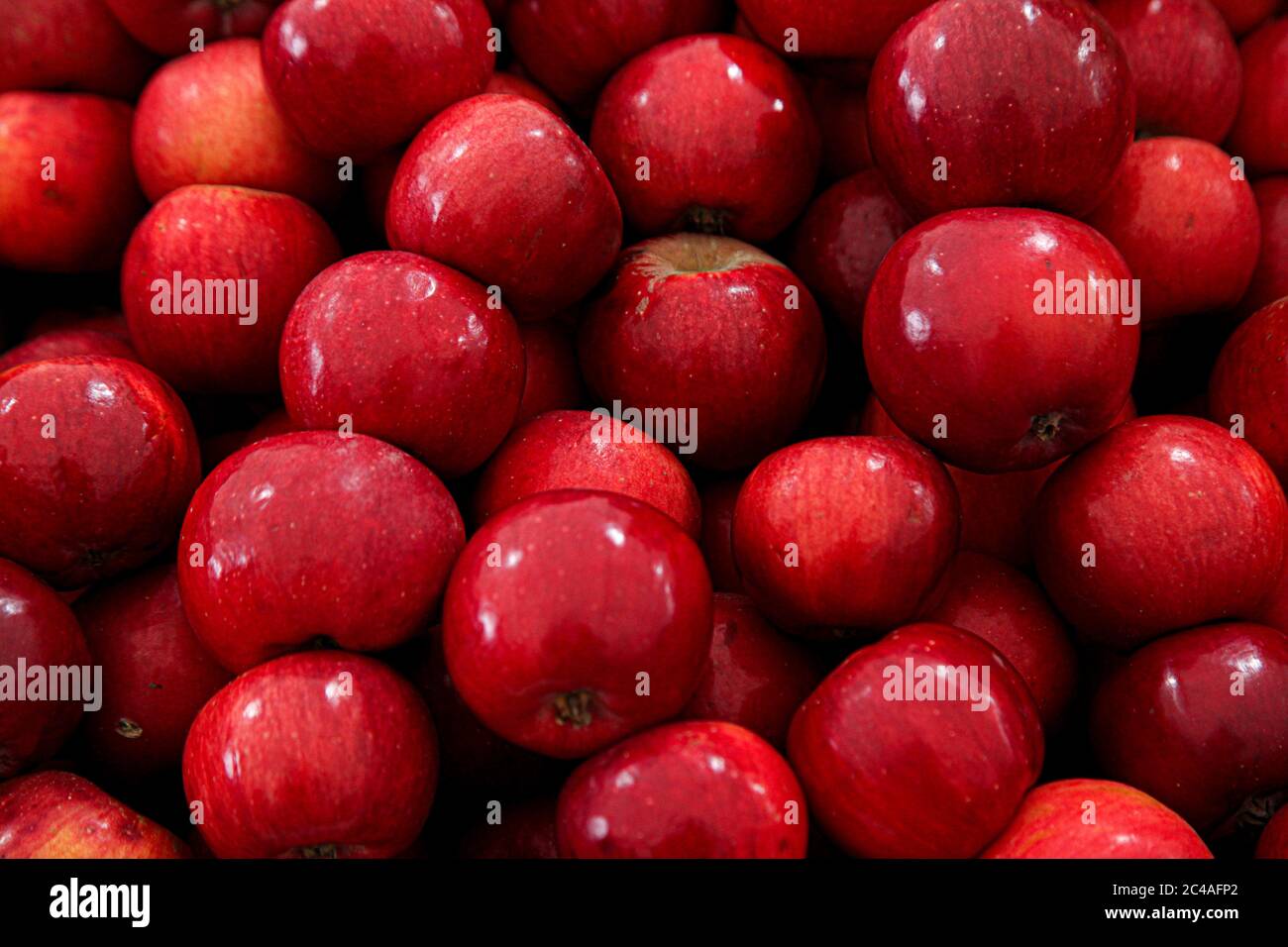 Red shining apples in the grocery stock Stock Photo - Alamy