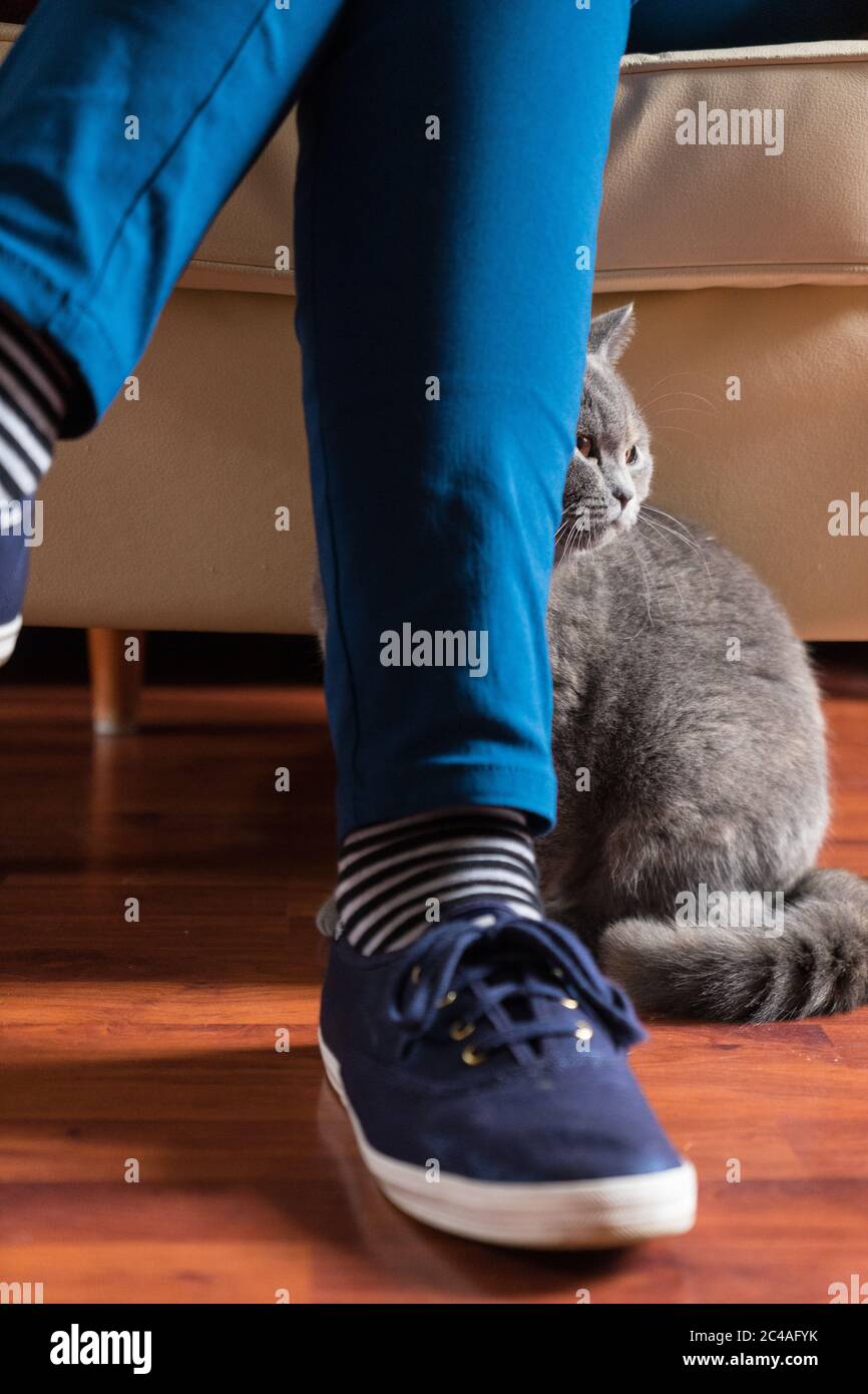 Caress legs hi-res stock photography and images - Alamy