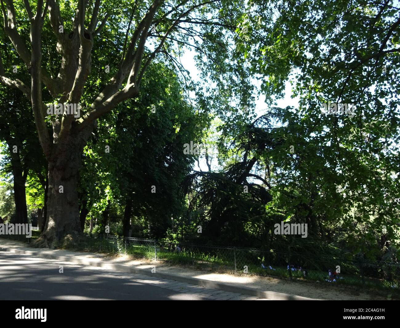 Paris is beautiful. Walk through the Vincennes Forest, Tuileries and ...