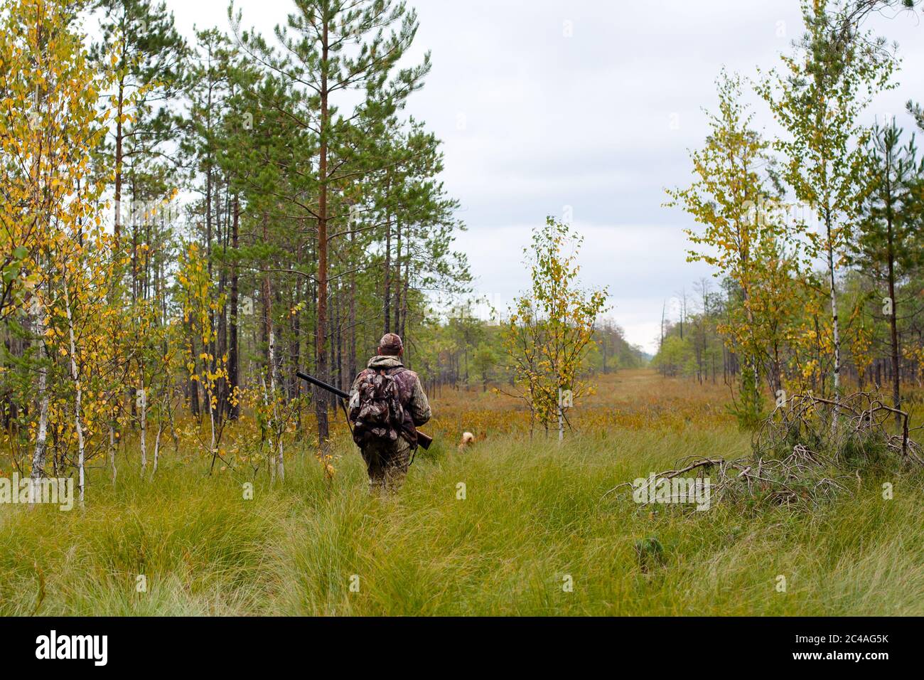 hunter in the forest Stock Photo - Alamy