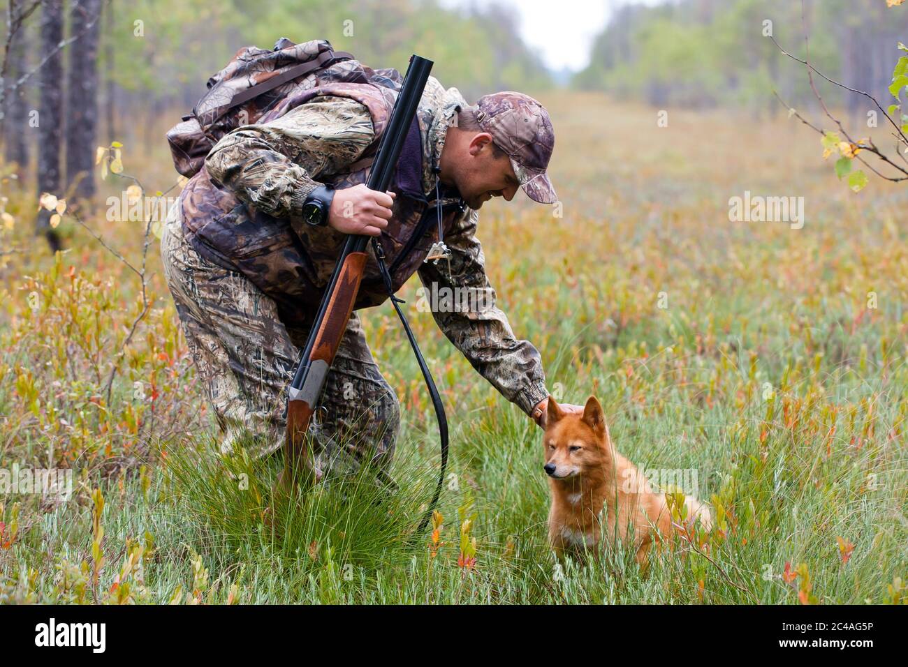 Hunter marsh hi-res stock photography and images - Alamy