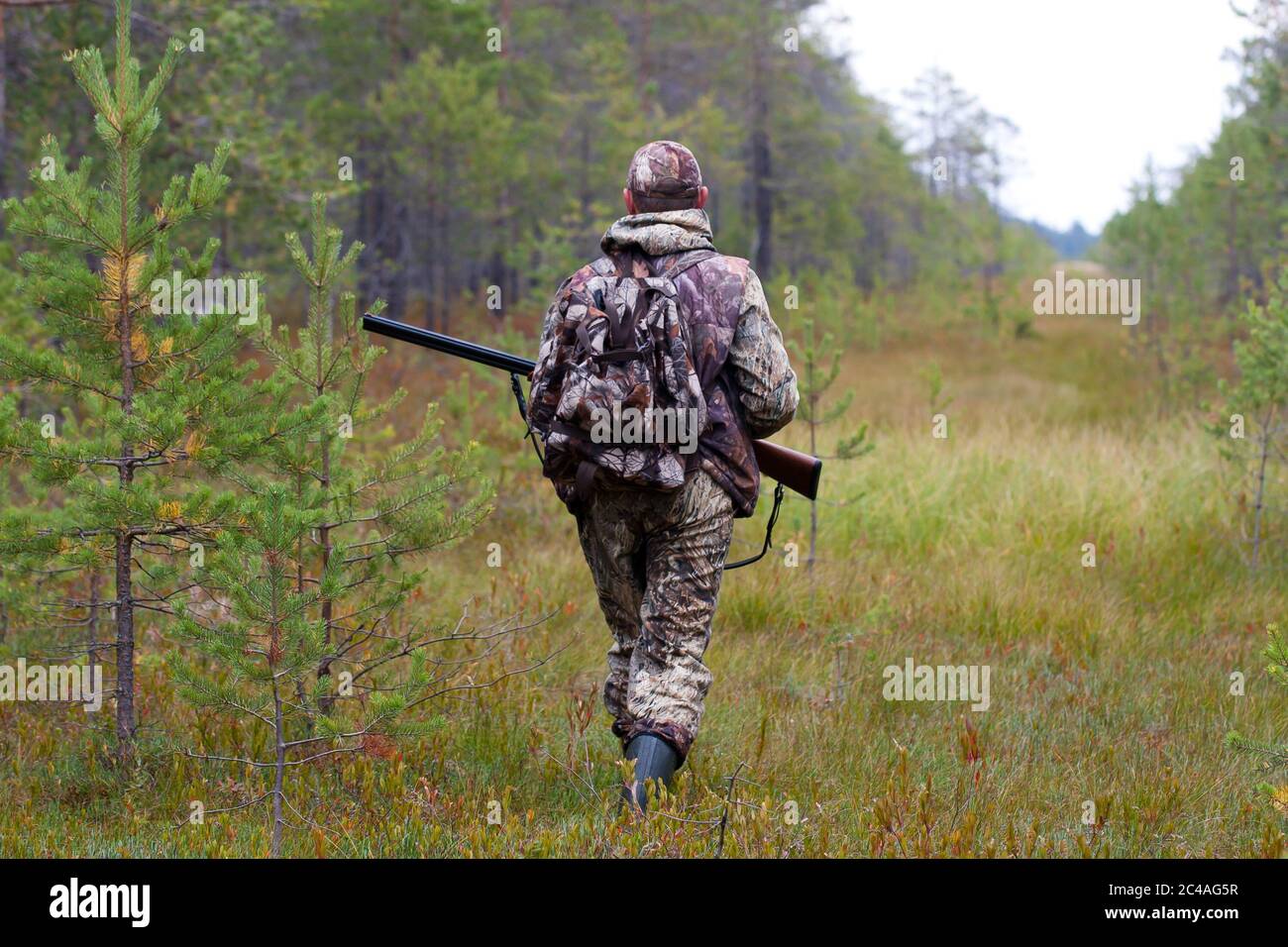 Hunter in the forest hi-res stock photography and images - Alamy