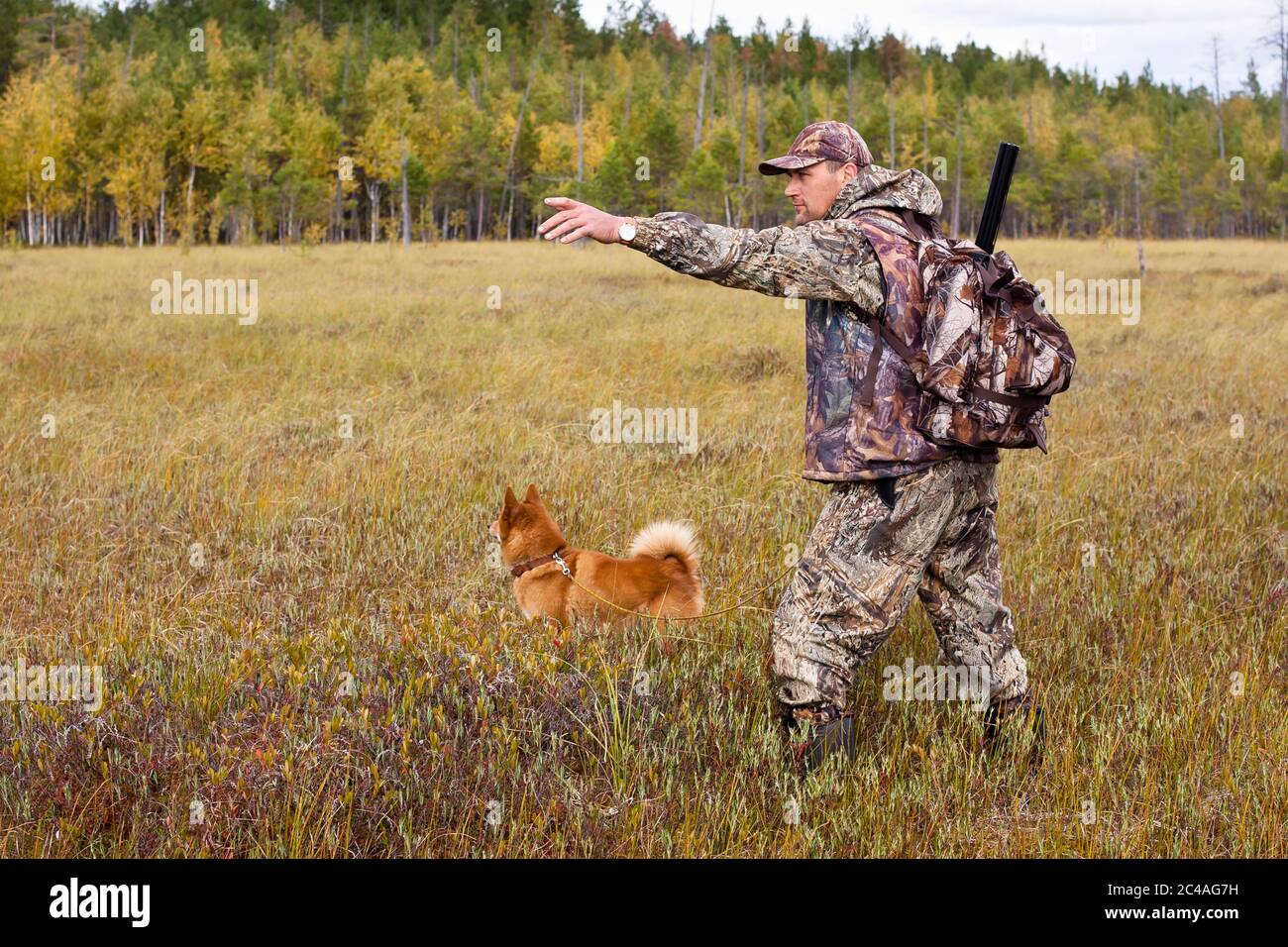 hunter with dog on the field Stock Photo - Alamy