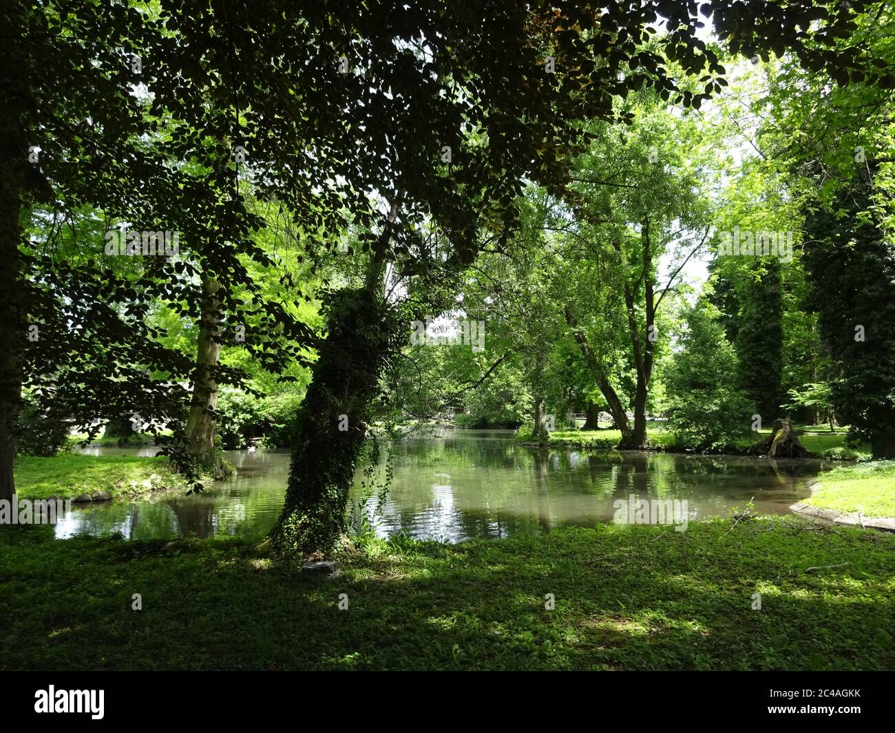 The Swiss city of Basel. Lange Erlen park, old centre, town hall and ...