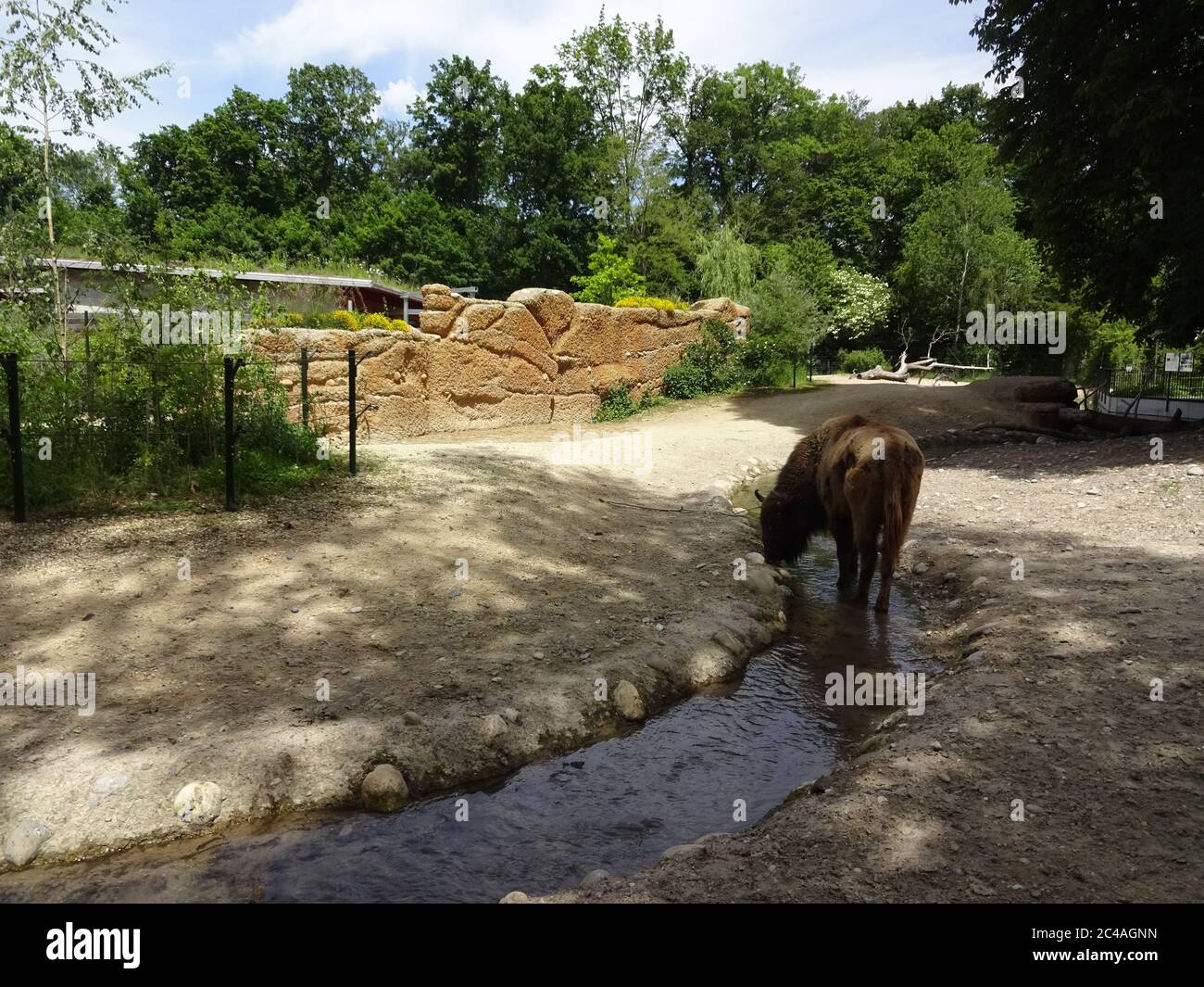 Parken Zoo Basel: Zoo De Bâle Animali – KOSE
