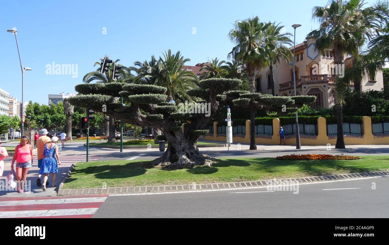 Salou is a very cool city on the Costa Dorada coast in Spain. There are ...
