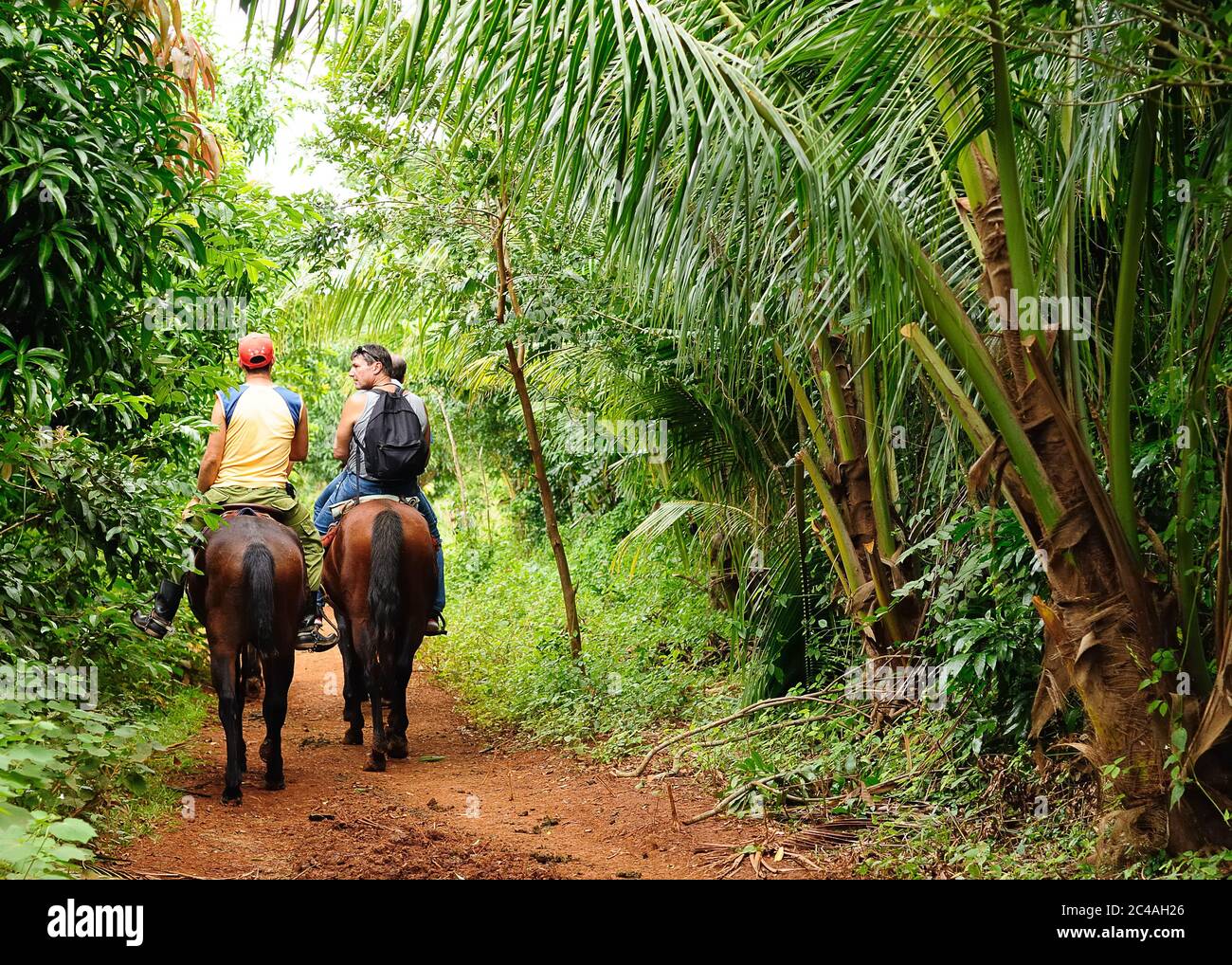 Cuban environment hi-res stock photography and images - Alamy