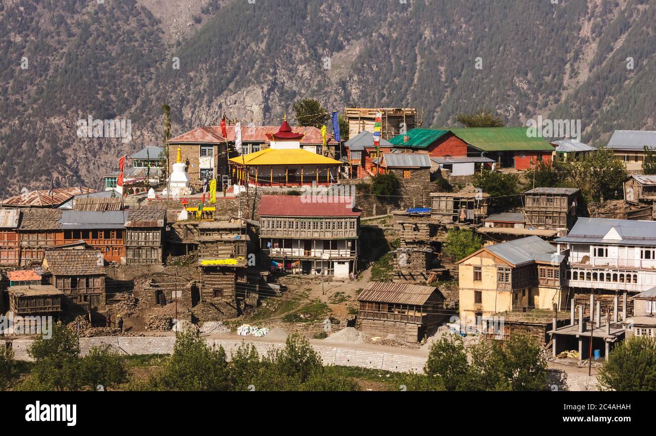 The village of Kalpa in Kinnaur in the Indian Himalayas with the yellow ...