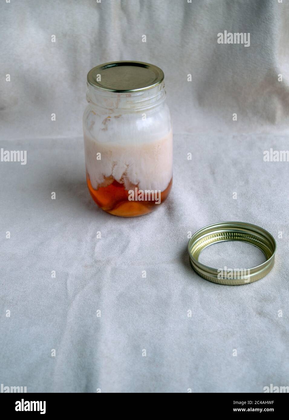 A side view of a jar of jelly that has started growing gross looking ...