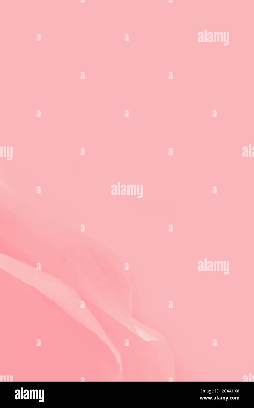Pink coral gradient abstract background with blurred lines, pastel ...