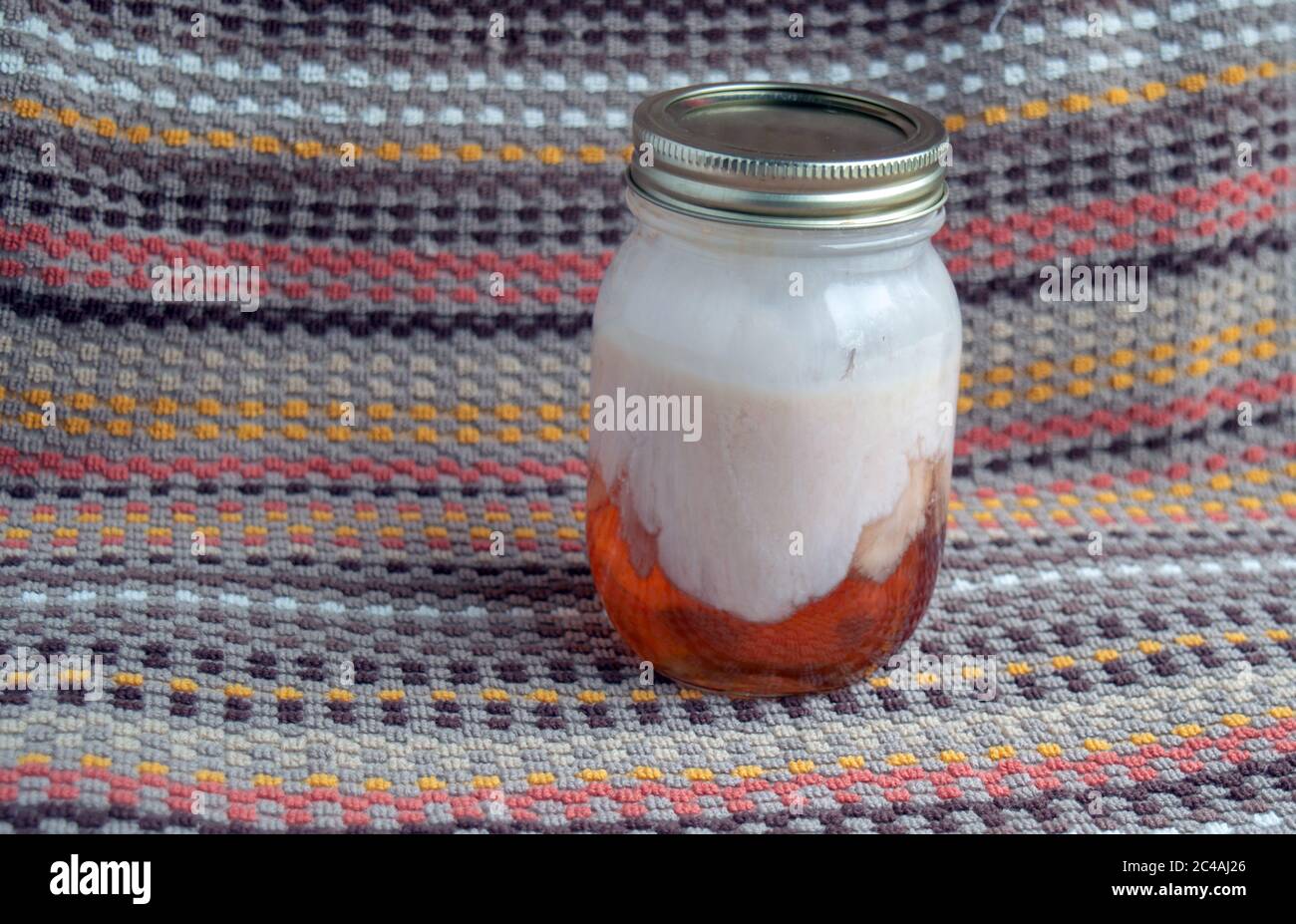 Moldy food hi-res stock photography and images - Alamy
