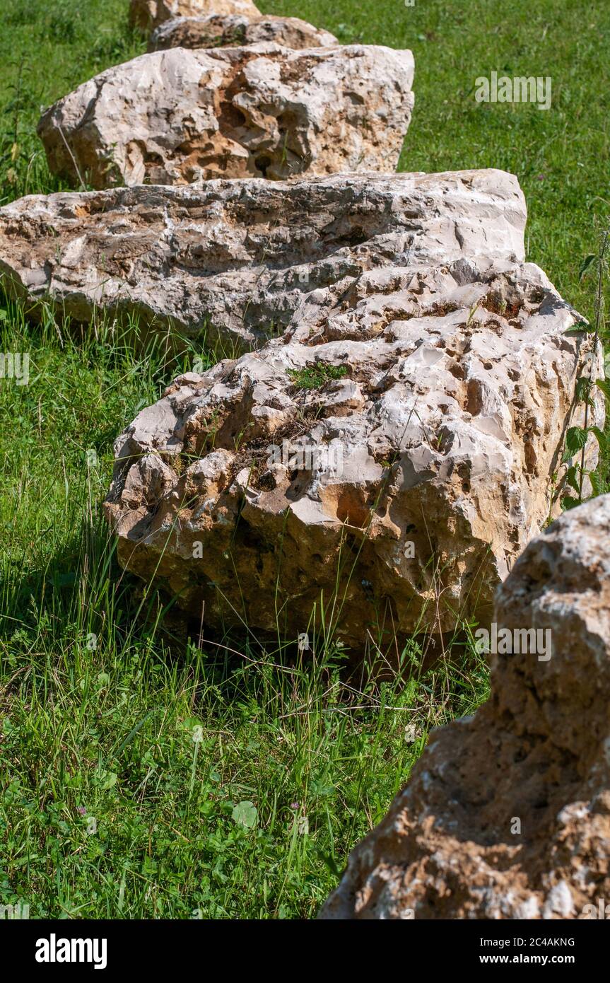 close-up of large jurassic limestone boulders lying on a meadow in ...