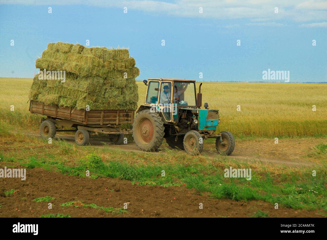 A blue tractor carrying green plants Stock Photo - Alamy