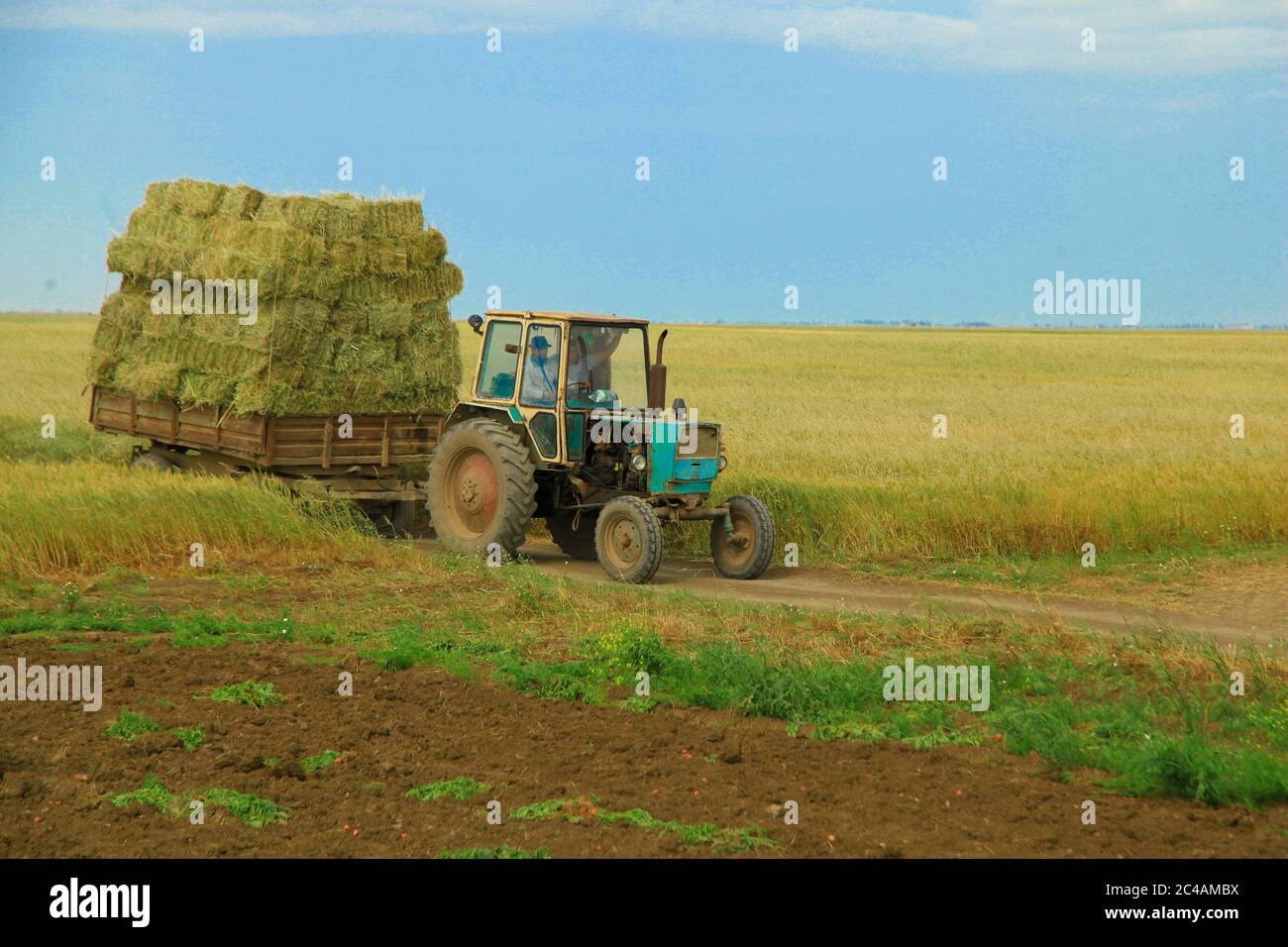 Tractor carrying grass hi-res stock photography and images - Alamy