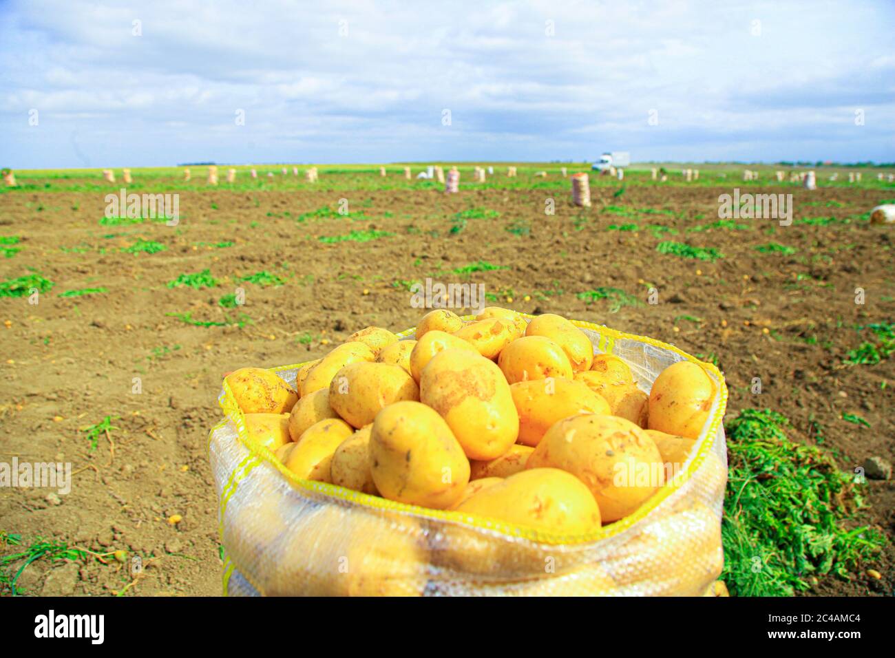 Potato case hi-res stock photography and images - Alamy