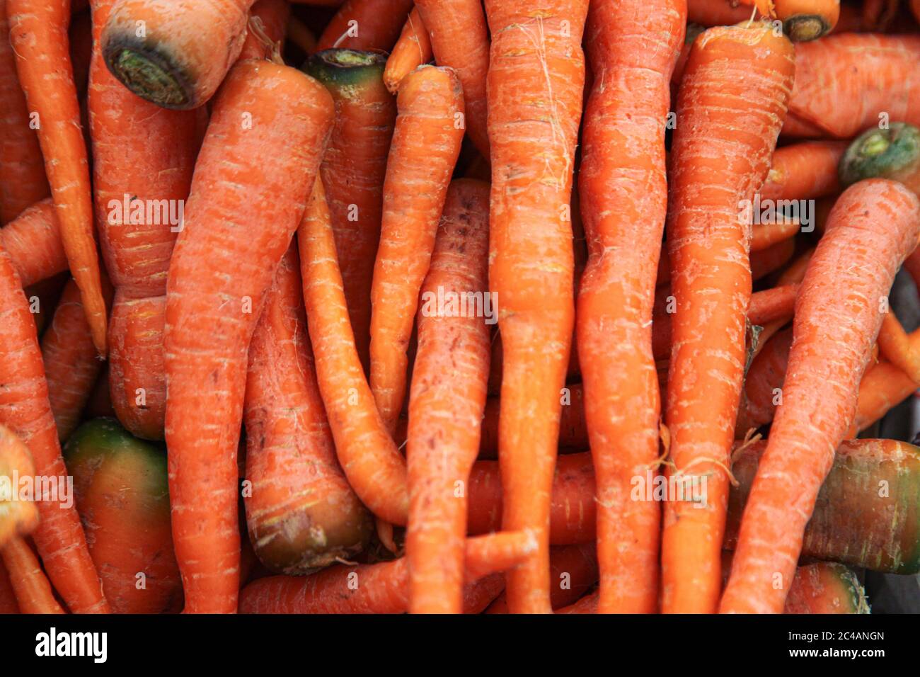 Fresh orange color carrots in the grocery stock Stock Photo - Alamy