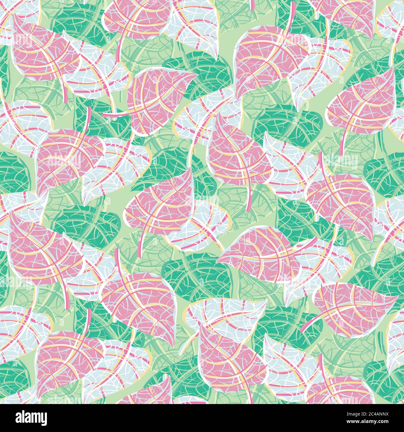 Variegated foliage pink white hi-res stock photography and images - Alamy