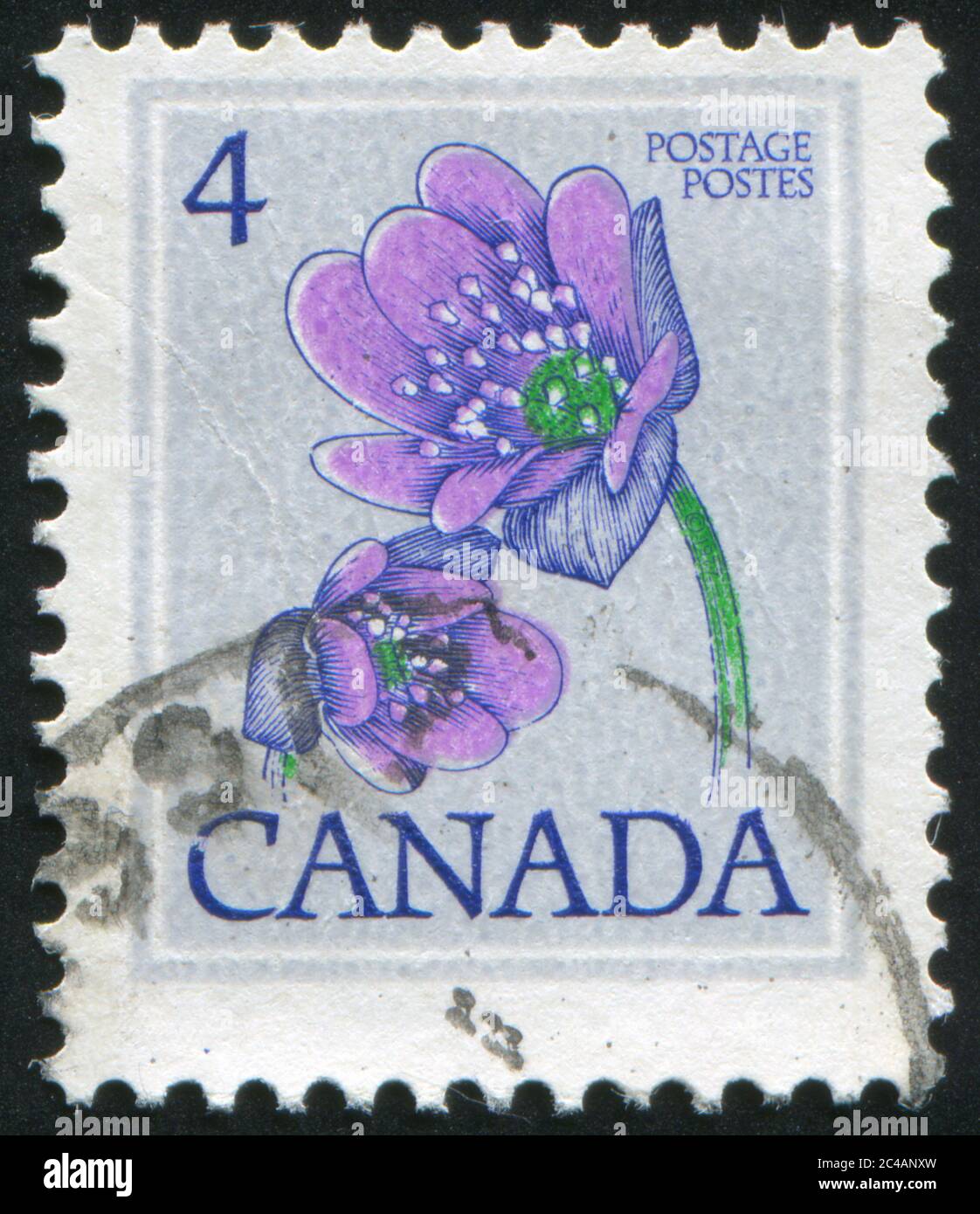 CANADA - CIRCA 1977: stamp printed by Canada, shows Hepatica, circa ...