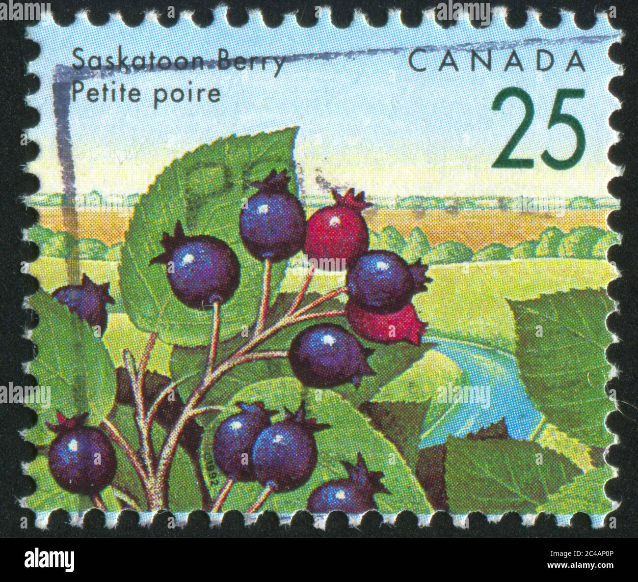 CANADA - CIRCA 1991: stamp printed by Canada, shows Saskatoon, circa ...