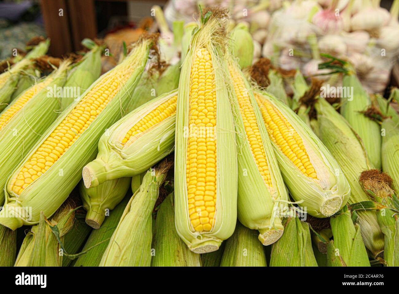 Green corns in a pice in the grocery Stock Photo - Alamy