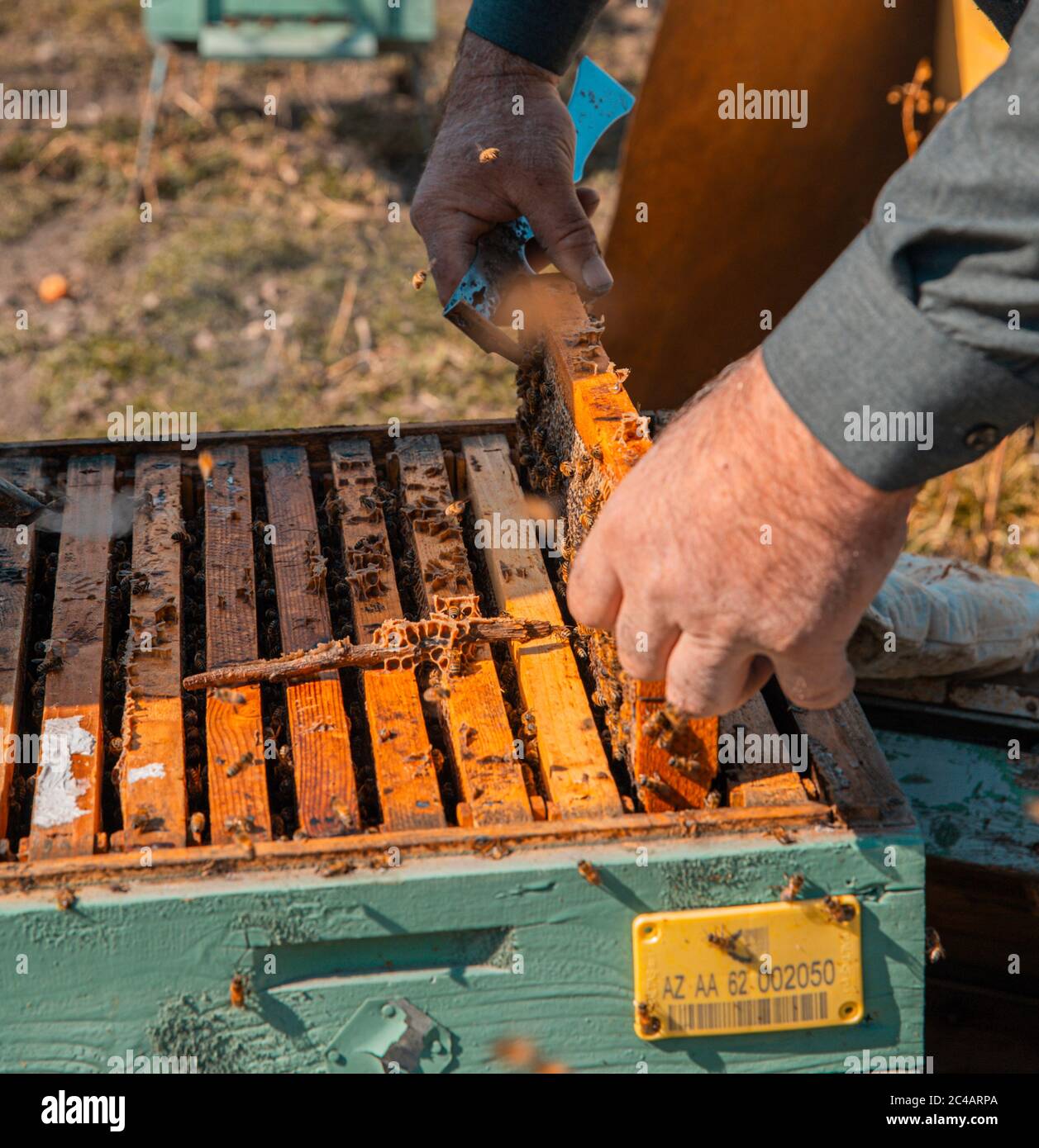 Removing boxes hi-res stock photography and images - Alamy