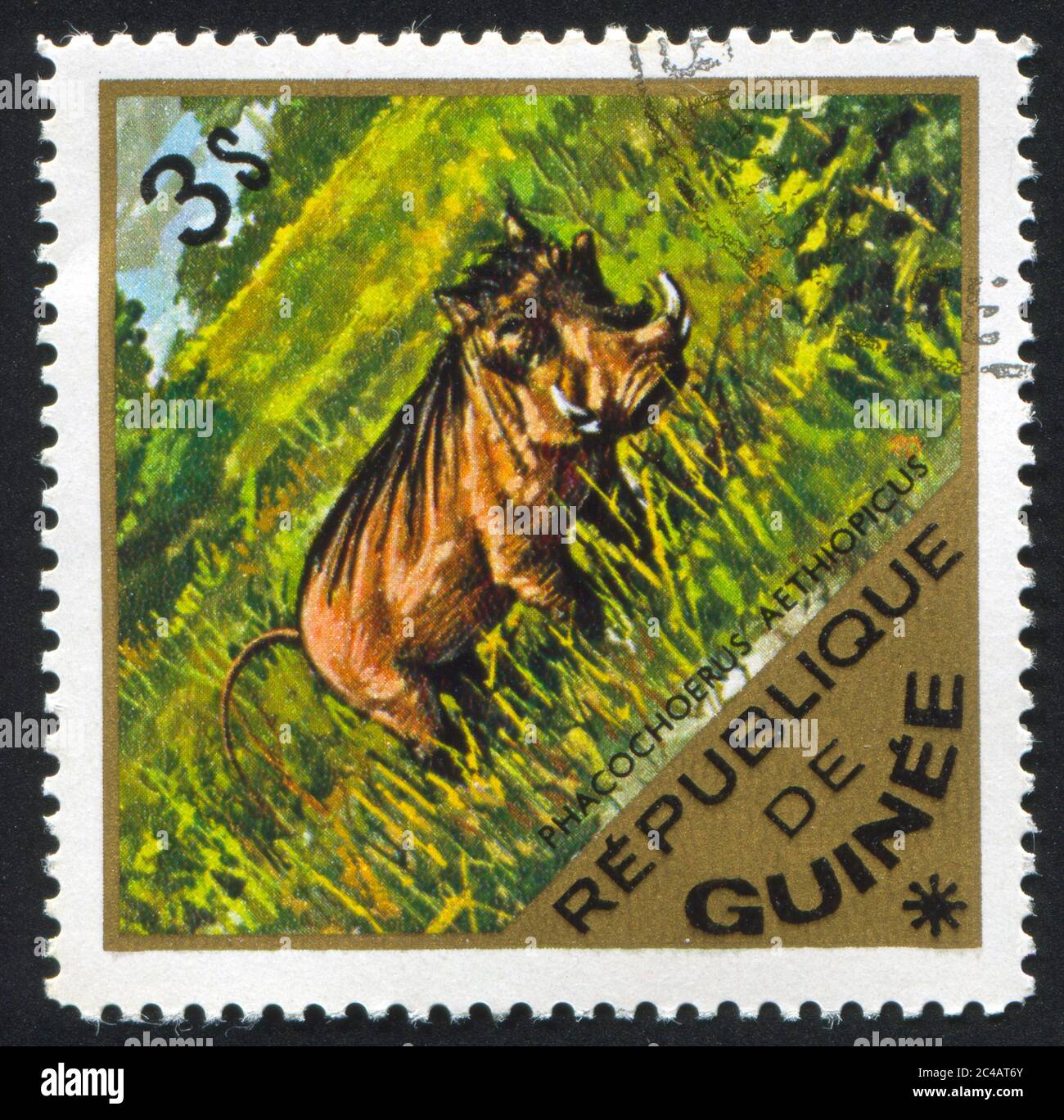 GUINEA - CIRCA 1975: stamp printed by Guinea, shows Wart hog, circa ...
