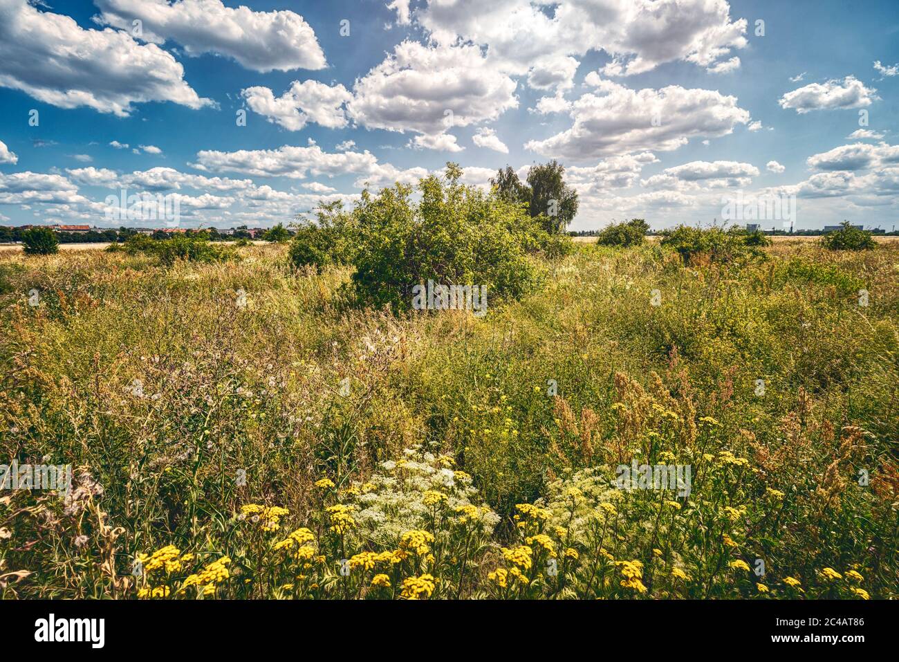 landscape with a meadow and blue sky with clouds Stock Photo - Alamy