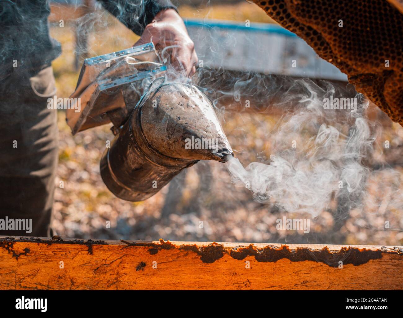 A beekeeper making steam into the beehive box Stock Photo - Alamy