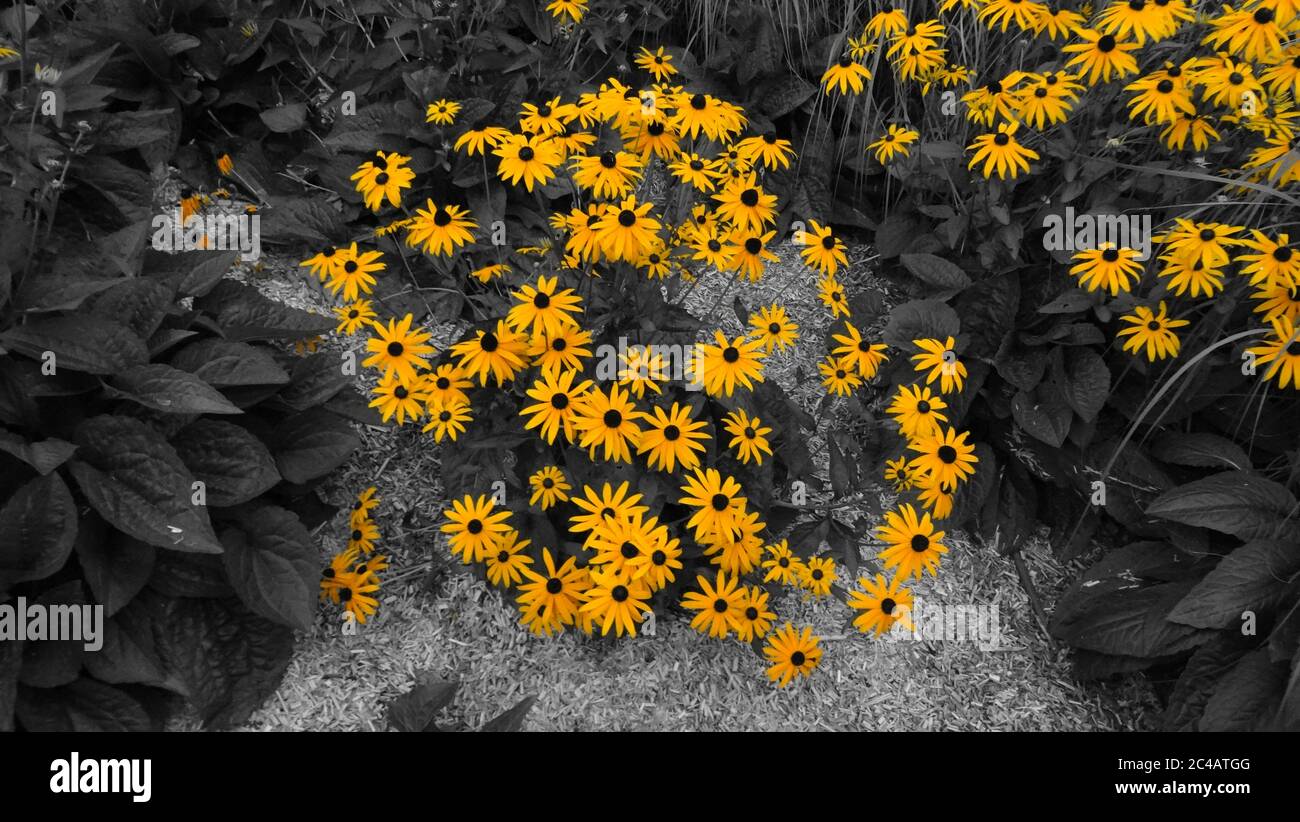 Rouen is a very beautiful city with ancient Gothic architecture. It is ...