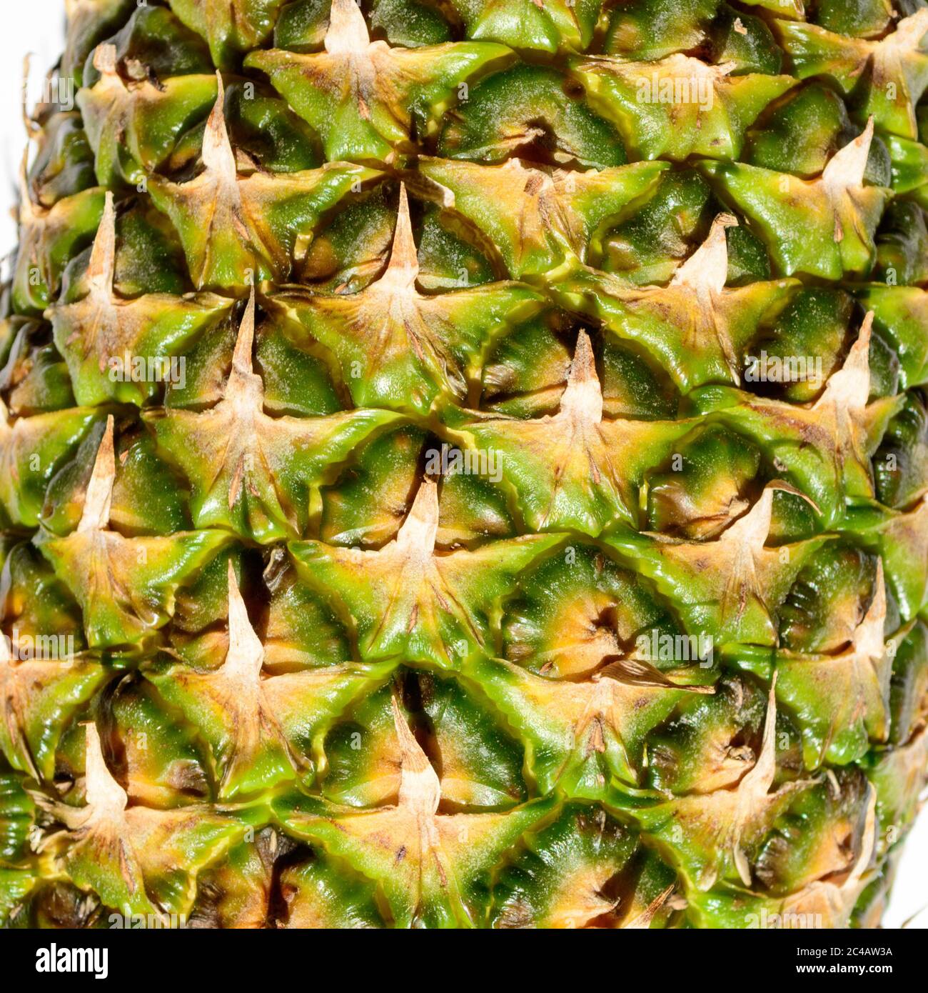 Three pineapples on an orange background Stock Photo - Alamy