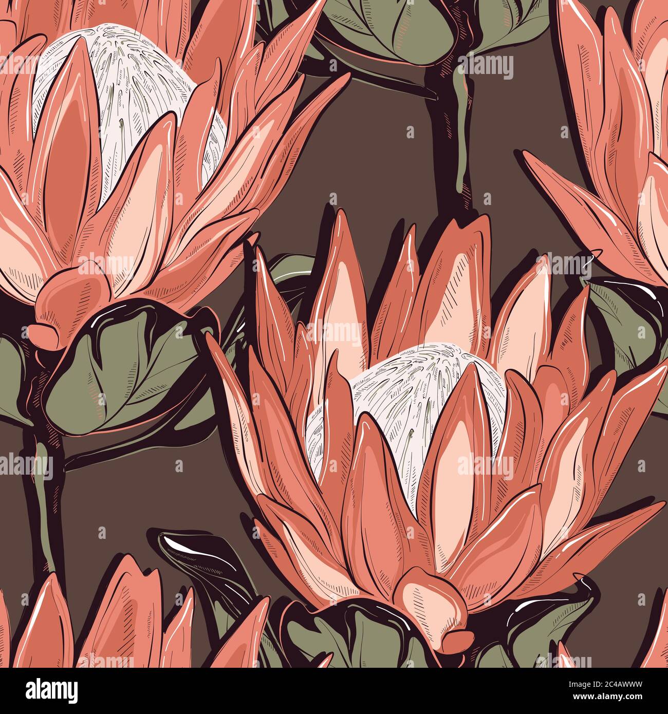 Protea seamless pattern design. Hand-drawn flower sketch. Botanical ...