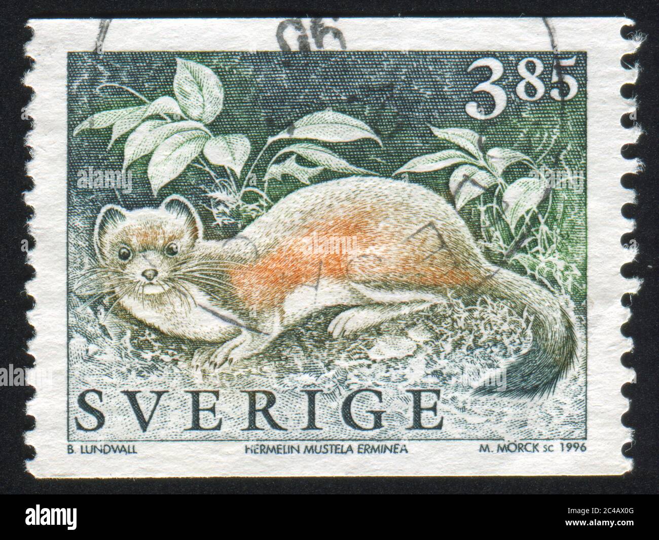 SWEDEN - CIRCA 1996: stamp printed by Sweden, shows Short-tailed weasel ...