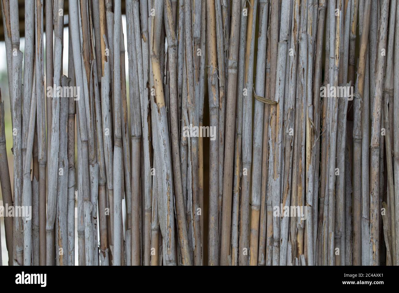 Cane screen hi-res stock photography and images - Alamy