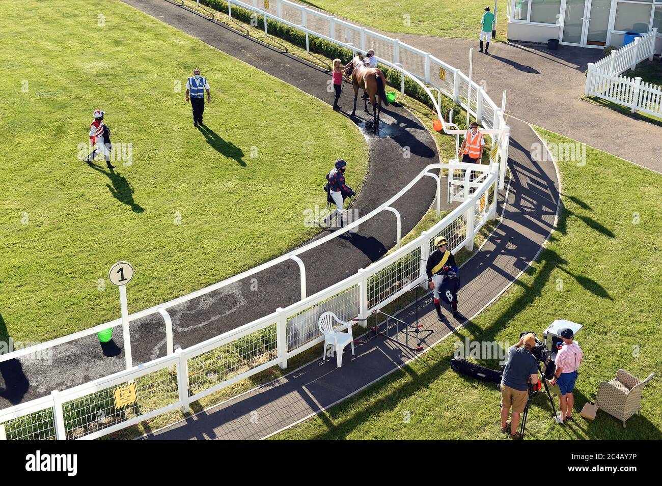 David harvey horse hi-res stock photography and images - Alamy