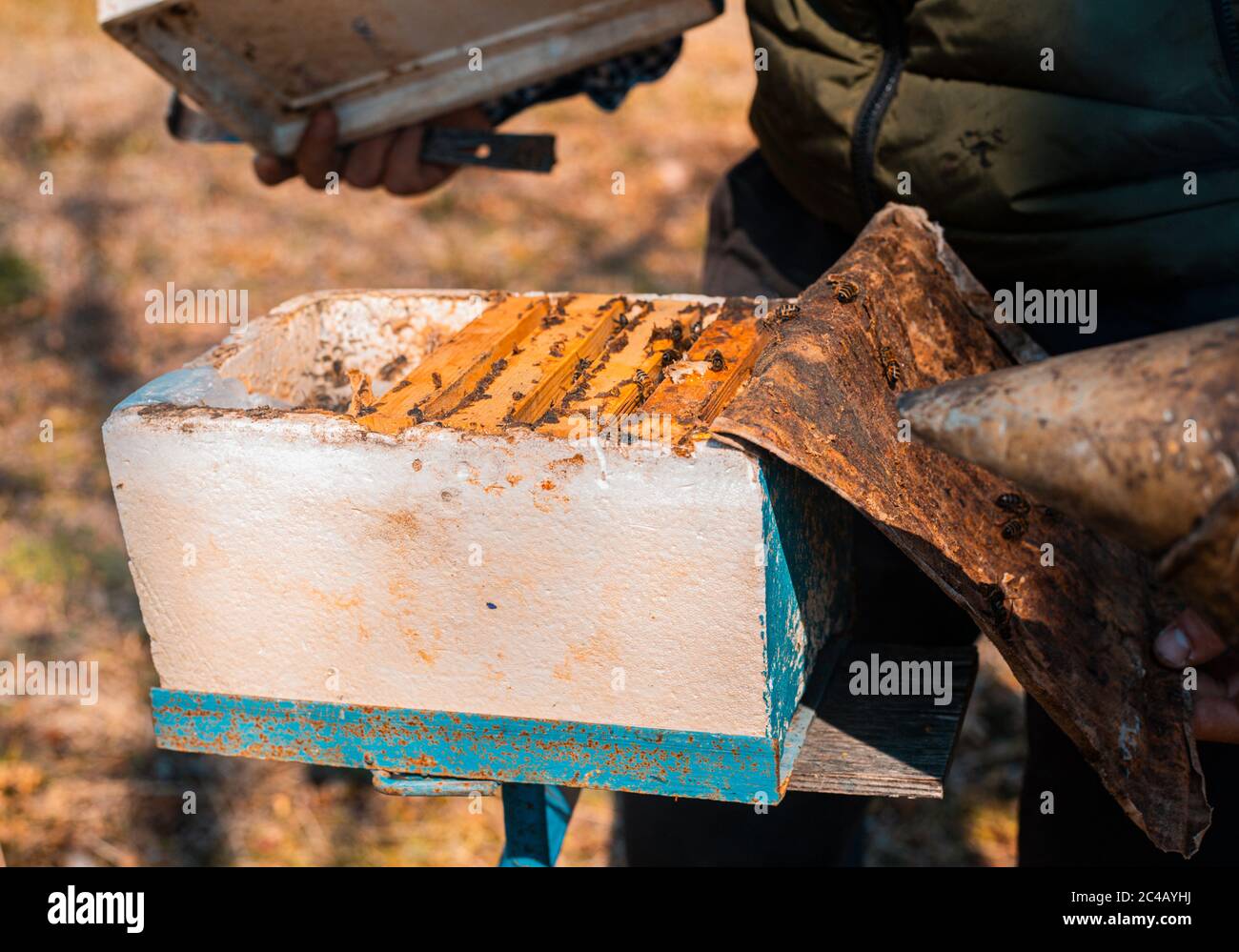Wooden beehives inside a beehive box Stock Photo - Alamy