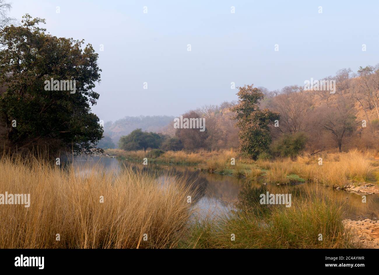 India landscapes hi-res stock photography and images - Alamy