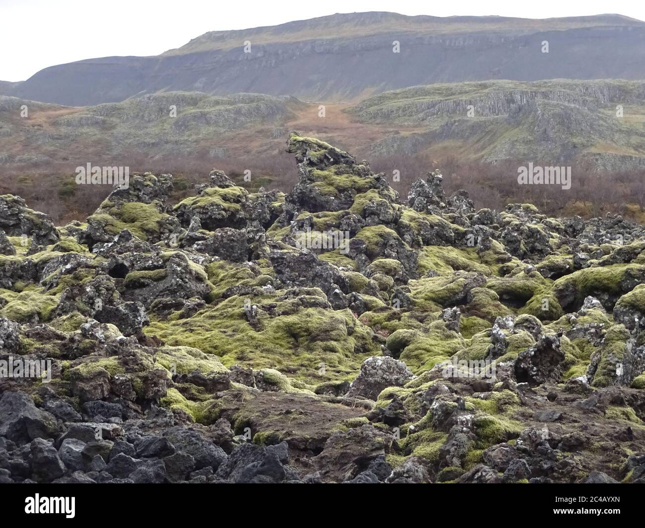 The magnificent nature of Iceland. Unique landscape, geysers, volcanoes ...